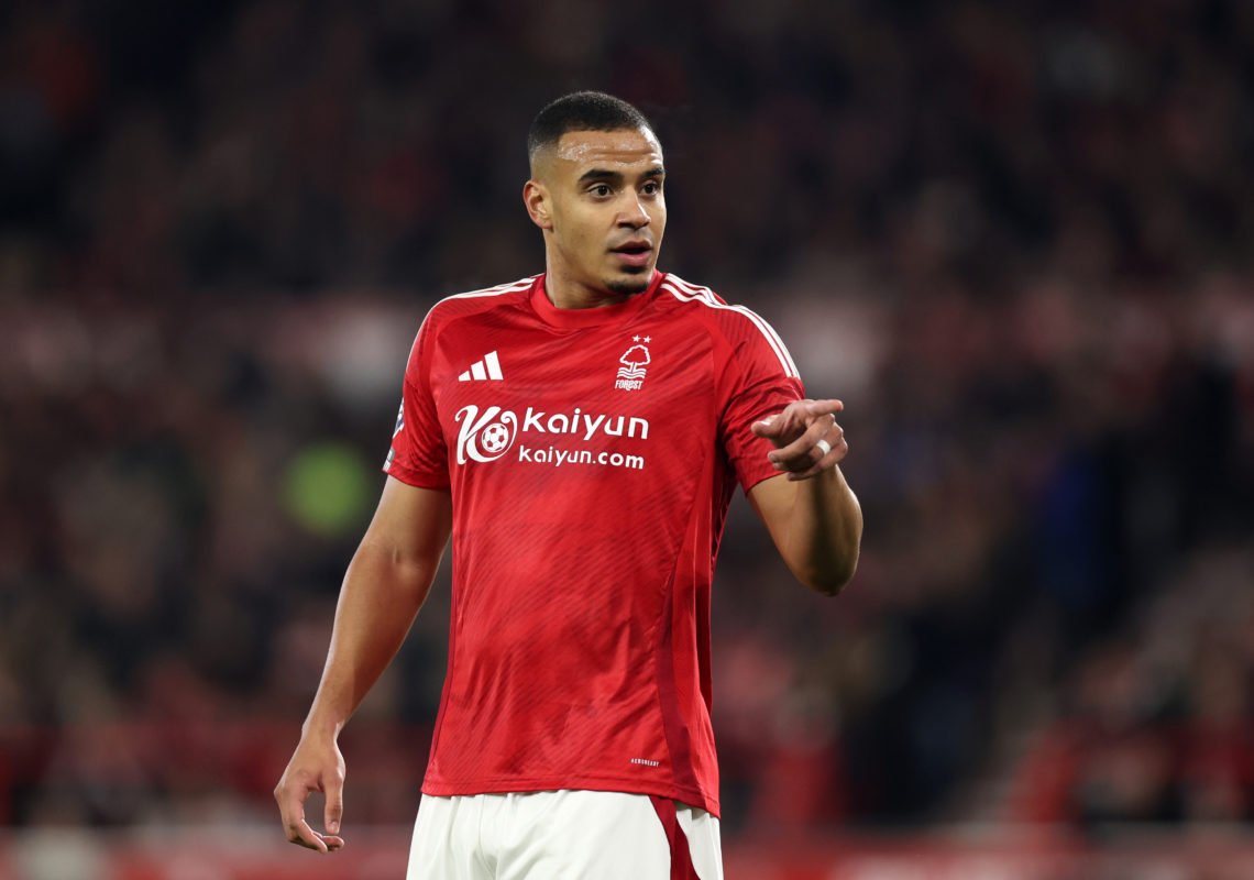 Steve Nicol suggests why Liverpool should steer well clear of signing ...