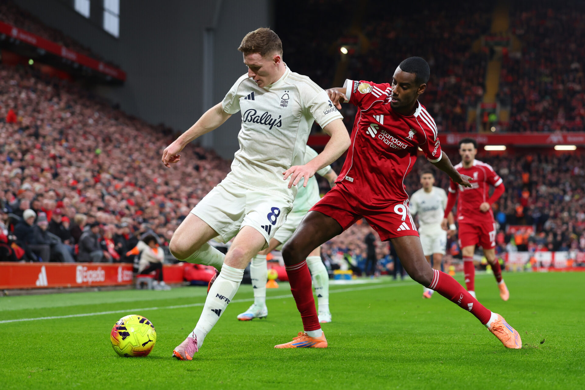 Liverpool should now know which Nottingham Forest player they must sign ...